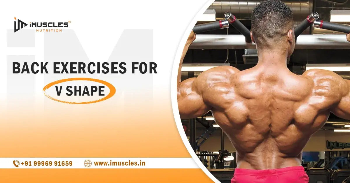 Back Exercises for a V-Shaped Physique - iMuscles Nutrition